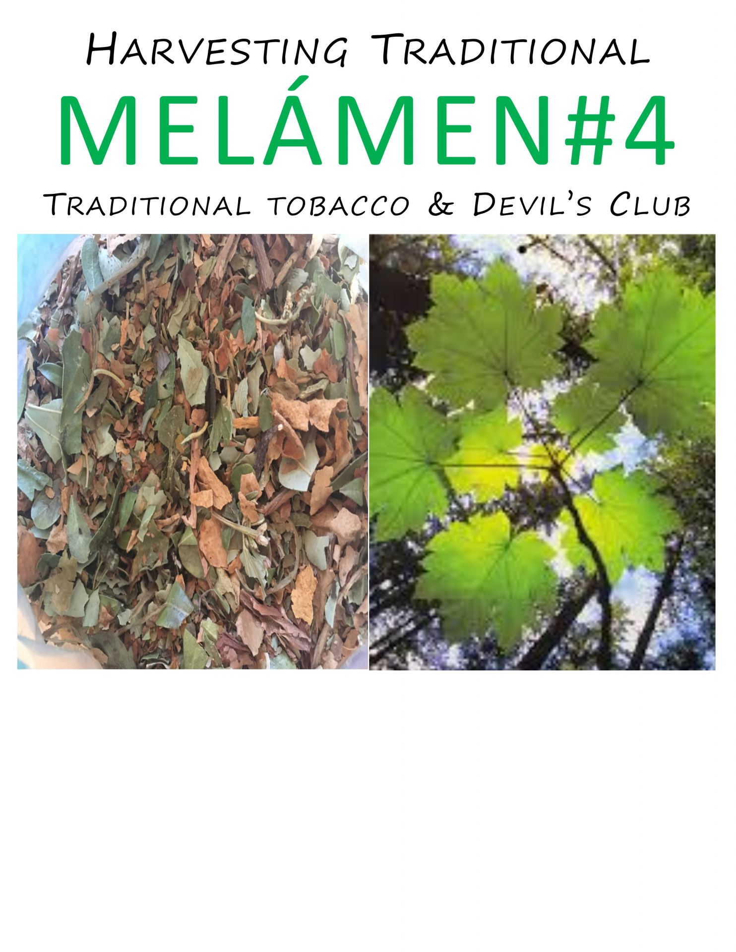 Melamen Workshop #4 - Monday, September 23, 2019 - Secwepemc Strong